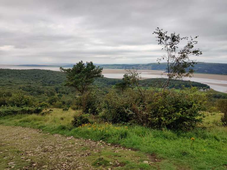 Top 10 Hikes and Walks around Arnside | Komoot
