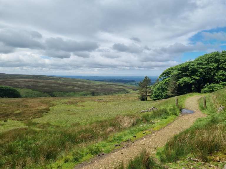 Top 8 Hikes and Walks around Wheelton | Komoot