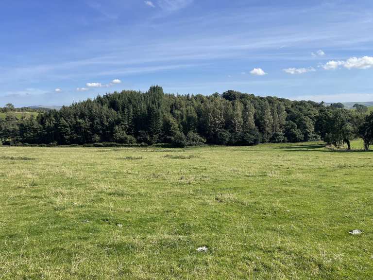 Top 8 Hikes and Walks around Paythorne | Komoot