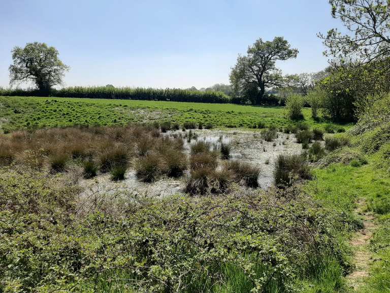 Top 10 Hikes and Walks around Newbold Verdon | Komoot