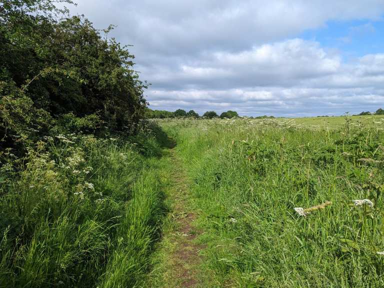 Top 10 Hikes and Walks around Measham | Komoot