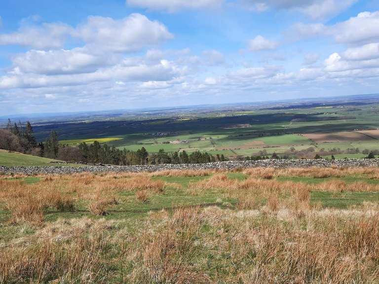 Attractions and Places To See around Hutton Rudby - Top 20 | Komoot