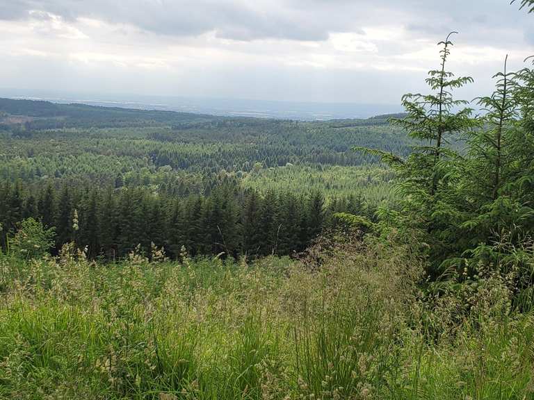 Top 10 Hikes and Walks around Knayton With Brawith | Komoot