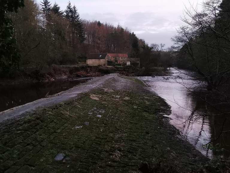 Top 10 Hikes and Walks around Brearton | Komoot