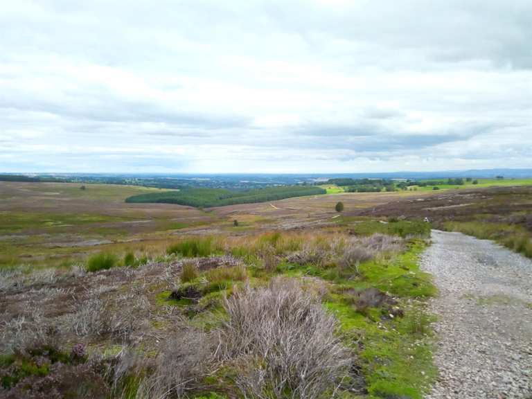The best cycling routes around Grewelthorpe | Komoot
