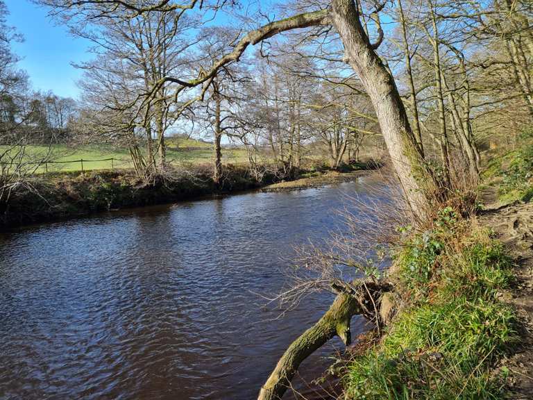 Top 10 Hikes and Walks around Markington With Wallerthwaite | Komoot