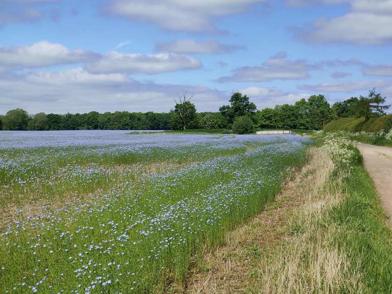 Top 5 Hikes and Walks around Croft-On-Tees | Komoot