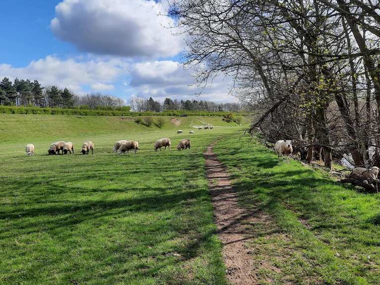 Top 10 Hikes and Walks around Scorton | Komoot