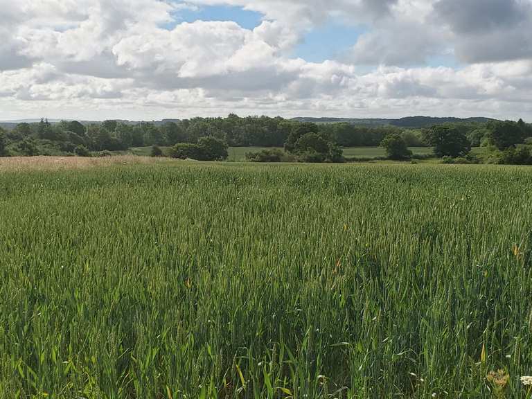 Top 10 Hikes and Walks around Harome | Komoot