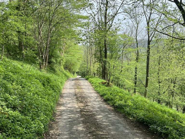 Top 10 Hikes and Walks around Old Byland And Scawton | Komoot