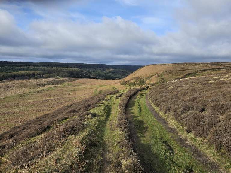 Top 10 Hikes and Walks around Wrelton | Komoot