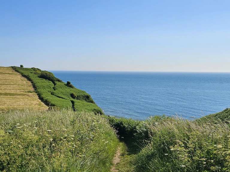 Top 10 Hikes and Walks around Cloughton | Komoot