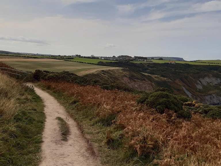 Top 10 Hikes and Walks around Hinderwell | Komoot