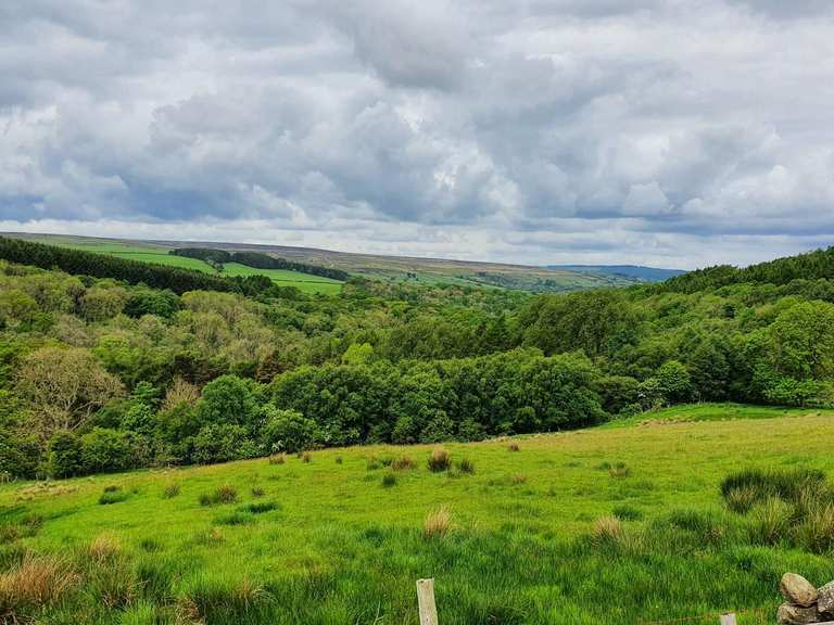 Top 10 Hikes and Walks around Sneaton | Komoot