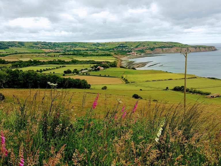 Die 10 schönsten Wanderungen rund um LCPs of Fylingdales and Hawsker ...