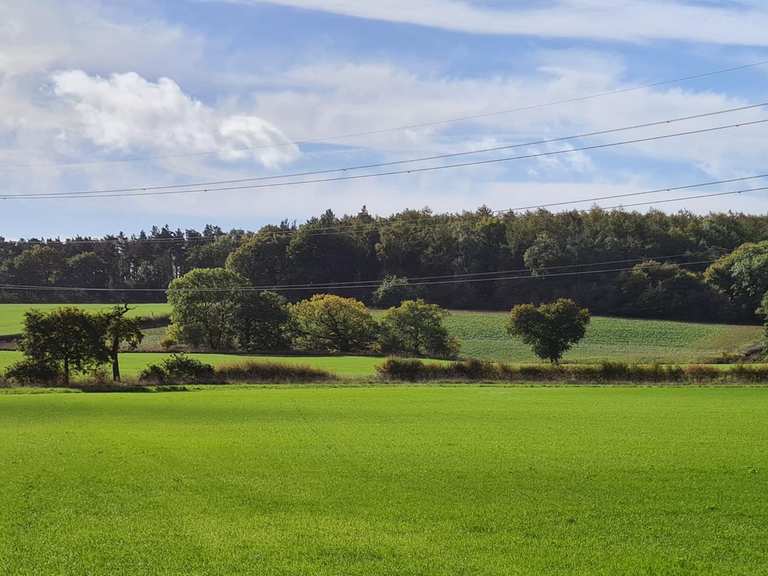 Top 8 Hikes and Walks around Marchington | Komoot