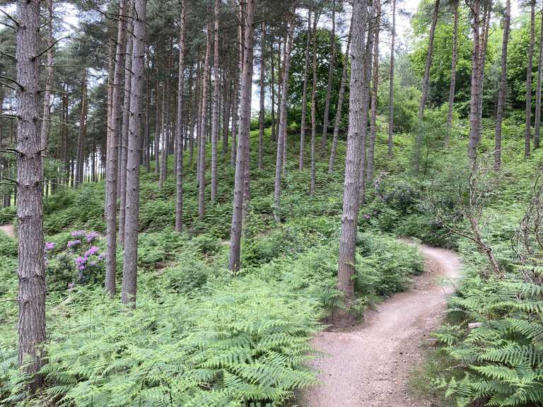 Top 10 Hikes and Walks around Armitage With Handsacre | Komoot