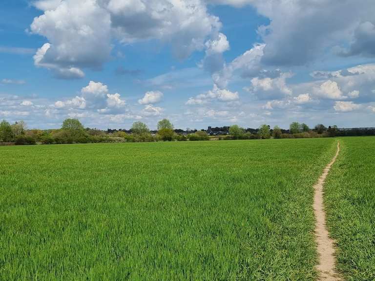 Top 10 Hikes and Walks around Wigginton And Hopwas | Komoot