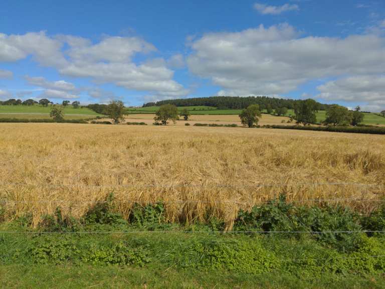 Top 10 Hikes and Walks around Whorlton | Komoot