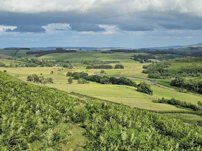 Top 10 Hikes and Walks around Alwinton | Komoot