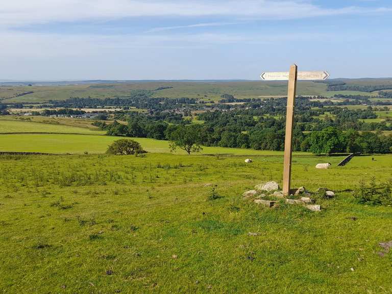 Top 10 Bike Rides and Cycling Routes around Bellingham | Komoot