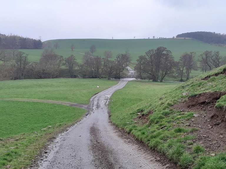 Lista 10 najlepszych wycieczek pieszych i spacerów wokół Cassop Vale ...