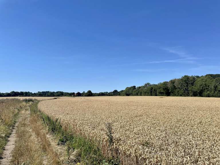 Top 10 Hikes and Walks around Morpeth | Komoot