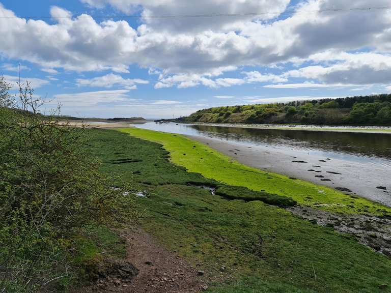 The best walks and hikes around Newbiggin By The Sea | Komoot