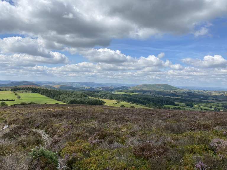 De mooiste bezienswaardigheden in Lydham - Top 20 | Komoot