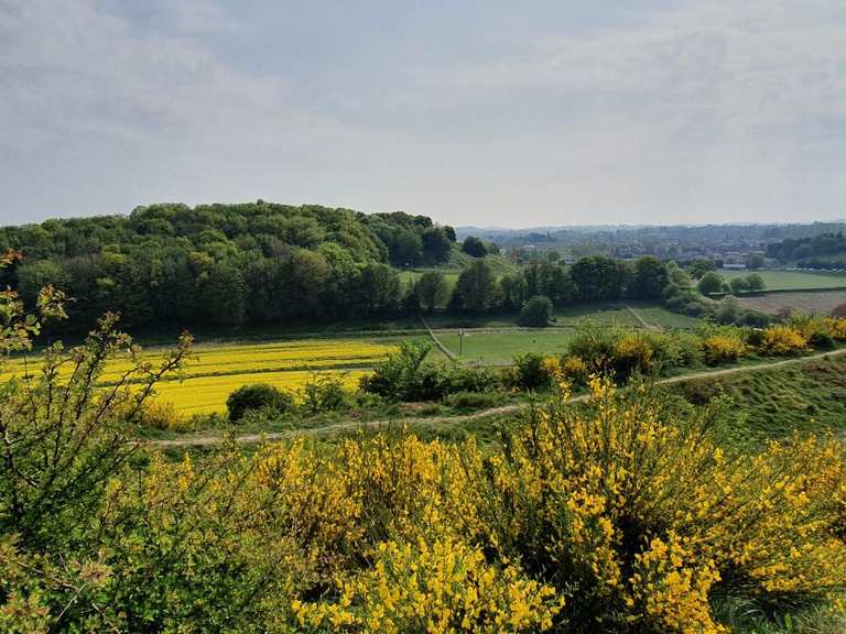 The best walks and hikes around Selattyn And Gobowen | Komoot