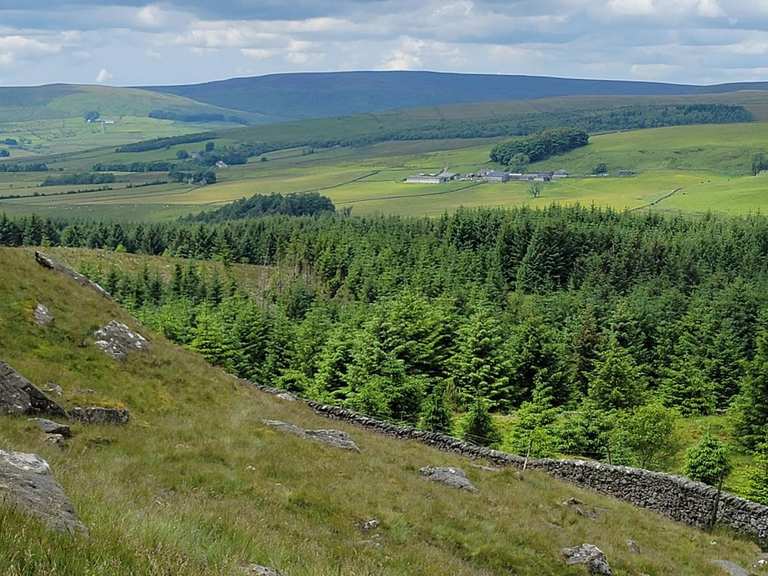 Top 10 Hikes and Walks around Rathmell | Komoot