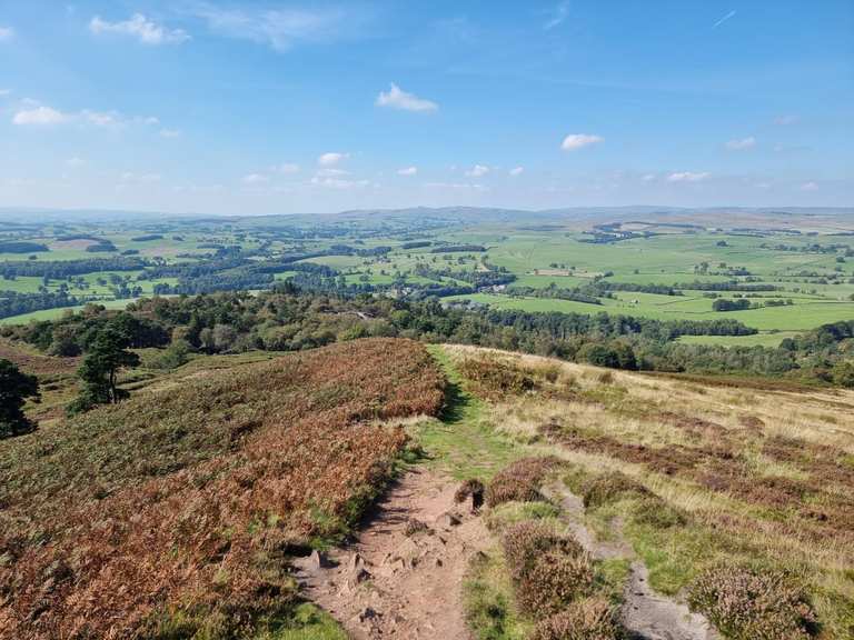 Top 10 Hikes and Walks around Gargrave | Komoot