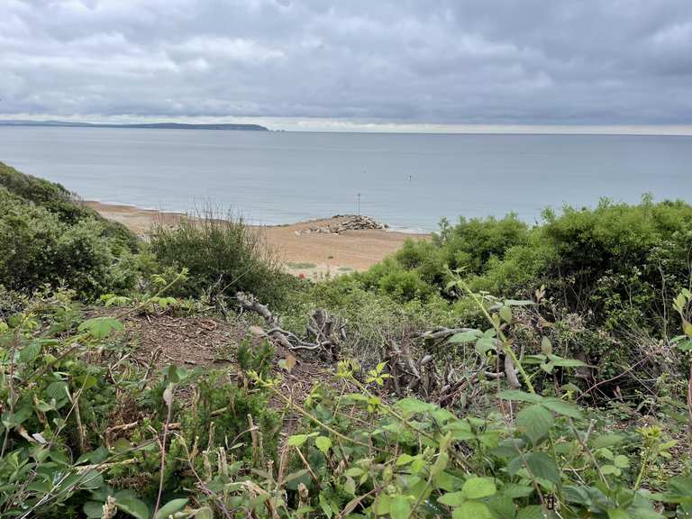 Top 10 Bike Rides and Cycling Routes around Highcliffe And Walkford ...