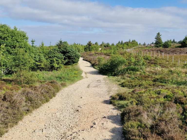 Top 10 Hikes and Walks around Llanferres | Komoot