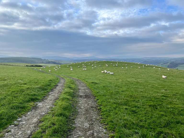 Top 10 Hikes and Walks around Merthyr Cynog | Komoot