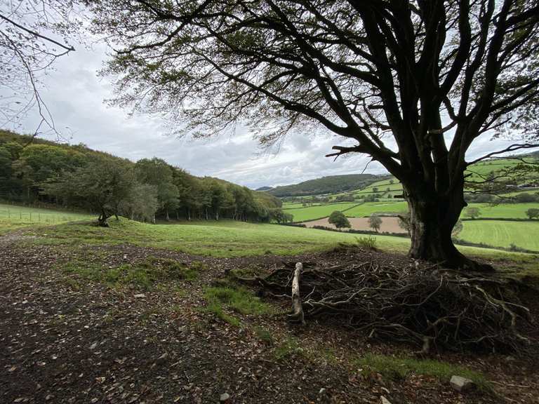 Top 6 Hikes and Walks around Lampeter | Komoot