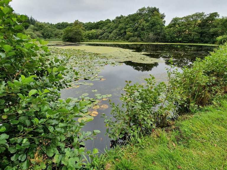 Die 10 schönsten Wanderungen rund um Pendoylan | Komoot