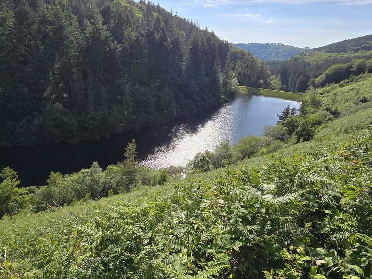 Top 10 Bike Rides and Cycling Routes around Baglan Moors | Komoot