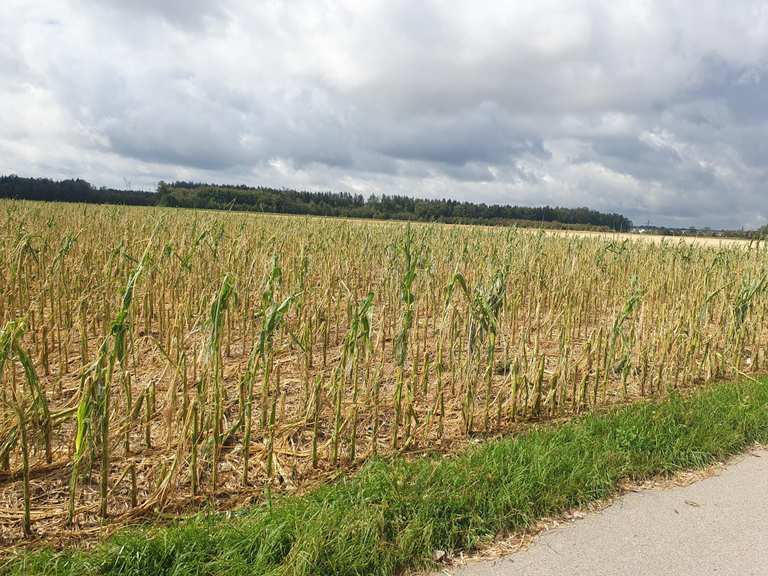 Ausflugsziele rund um Höhenkirchen-Siegertsbrunn - Die Top 20 | Komoot
