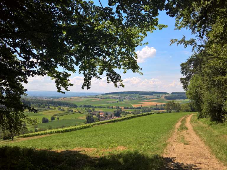 Die 10 schönsten Fahrradtouren rund um Bad Bellingen | Komoot