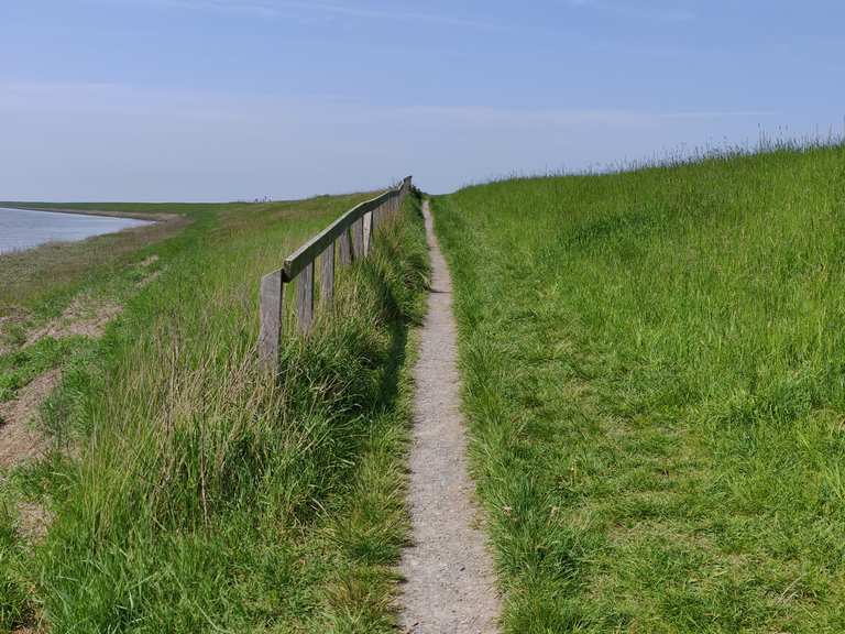 Ausflugsziele rund um Butjadingen - Die Top 20 | Komoot