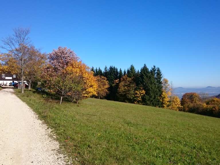 I 20 itinerari e percorsi MTB migliori nei dintorni di Gruibingen | komoot