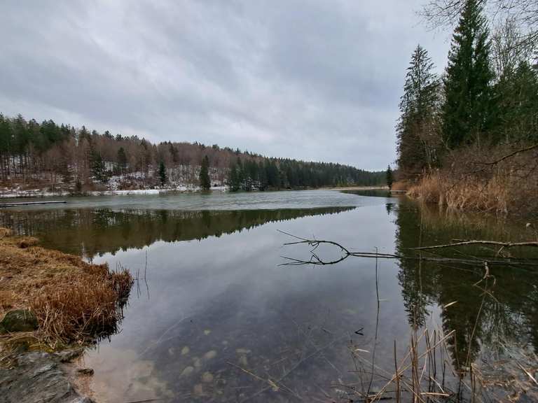 Los mejores sitios que ver en Denklingen - Top 20 | Komoot