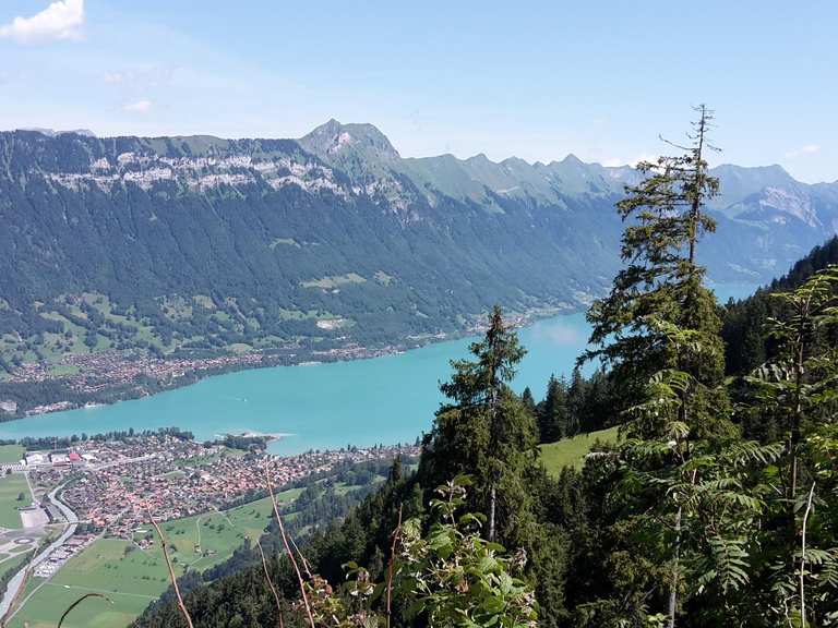 Die 10 schönsten Wanderungen rund um Gsteigwiler | Komoot