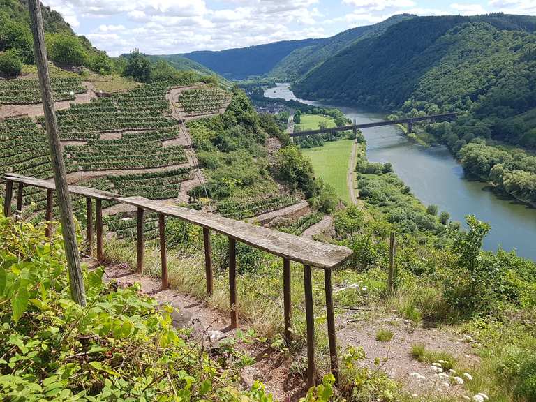 De 10 mooiste wandelroutes rond Bullay | Komoot