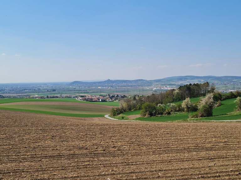 Die 10 schönsten Wanderungen rund um Hagenbrunn | Komoot