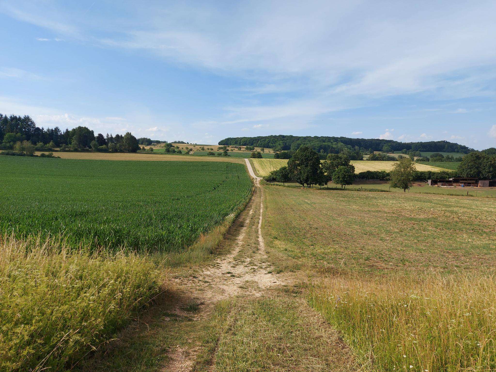 Ausflugsziele rund um Oettingen im Bayern - Die Top 20 | Komoot