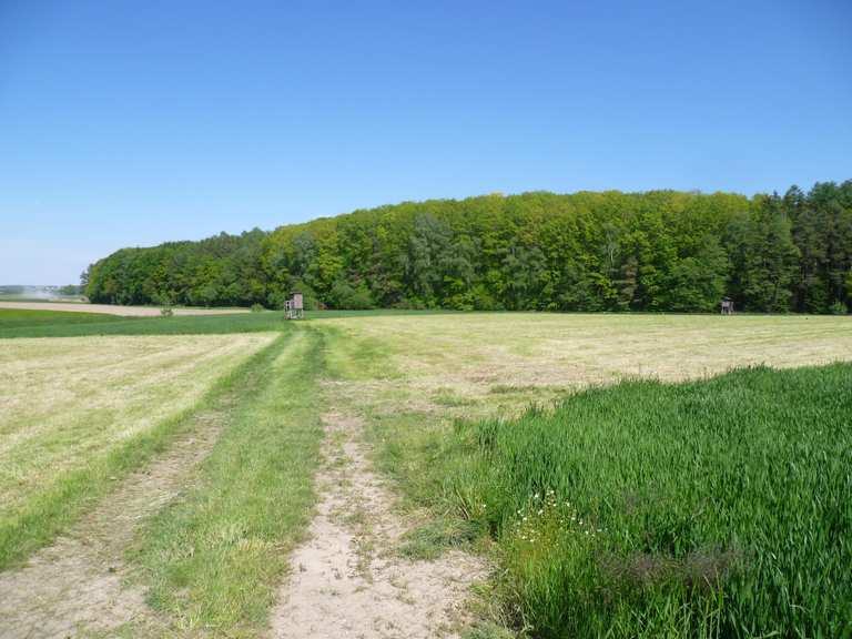 Ausflugsziele rund um Bibertal - Die Top 20 | Komoot