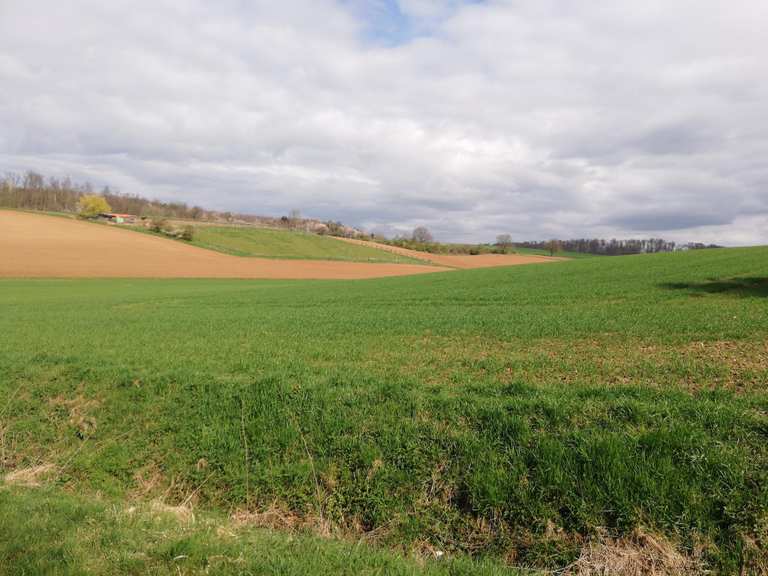 Die 10 schönsten Wanderungen rund um Hammersbach | Komoot