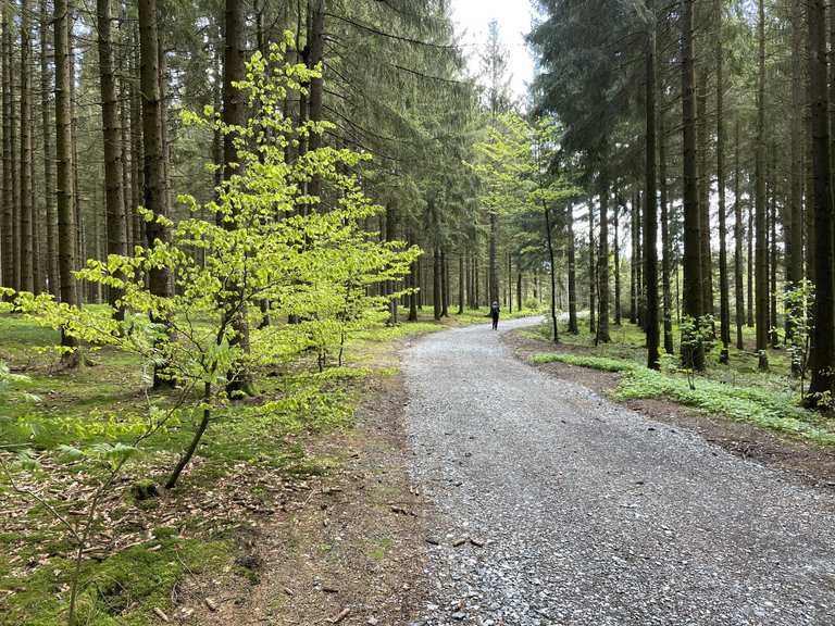 Ausflugsziele rund um Presseck - Die Top 20 | Komoot